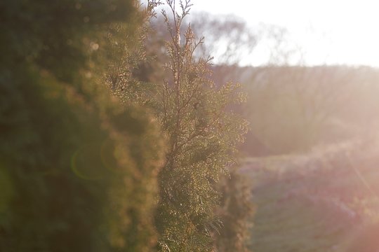 Ogonek Bilder – Durchsuchen 2,557 Archivfotos, Vektorgrafiken und ...