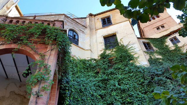 Tanja W. photos, images, assets | Adobe Stock