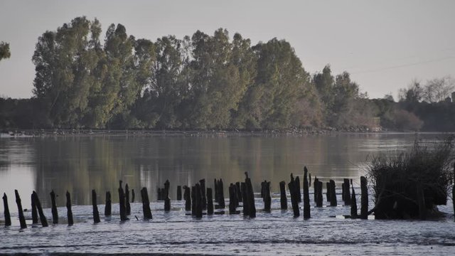 รูปภาพCalmado – เลือกดูภาพถ่ายสต็อก เวกเตอร์ และวิดีโอ1,207 | Adobe Stock