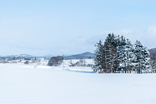 Persuade Images – Parcourir 36,898 le catalogue de photos, vecteurs et ...