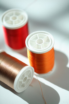 Sils 画像 - 参照 7,187 Stock 写真、ベクターおよびビデオ | Adobe Stock