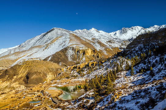 Dhumba Images – Browse 45 Stock Photos, Vectors, and Video | Adobe Stock