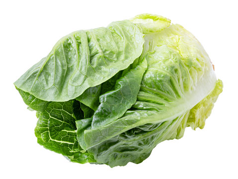 รูปภาพKail – เลือกดูภาพถ่ายสต็อก เวกเตอร์ และวิดีโอ1,927 | Adobe Stock