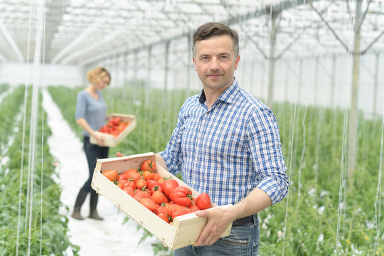 Producer bilder – Bläddra bland 95,327 stockfoton, vektorer och videor ...
