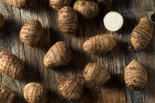 "Taro Corm" Bilder – Durchsuchen 207 Archivfotos, Vektorgrafiken und ...