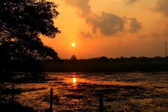 Sad Evening Wallpaper