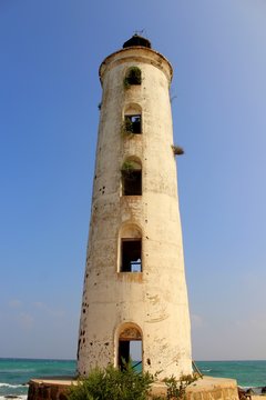 「Ltte」の写真素材 | 23件の無料イラスト画像 | Adobe Stock