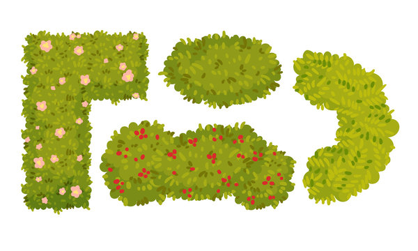 377 BEST Shrubs Plan View IMAGES, STOCK PHOTOS & VECTORS | Adobe Stock