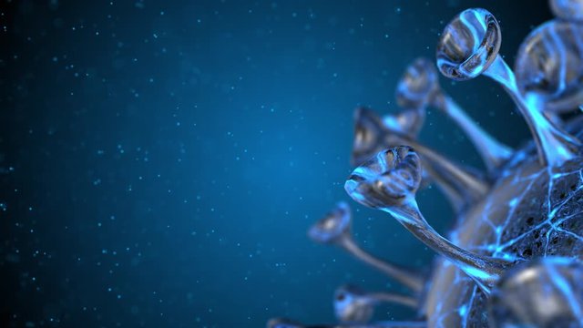 Virology Images – Browse 170,168 Stock Photos, Vectors, and Video ...