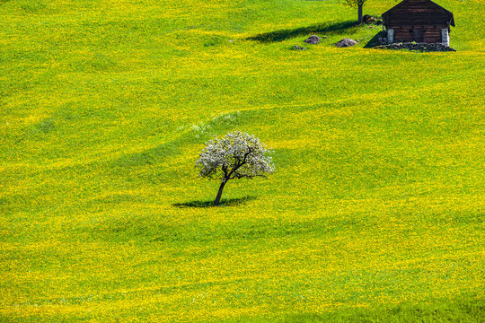 Inder 이미지 – 찾아보기 1,157 스톡 사진, 벡터 및 비디오 | Adobe Stock