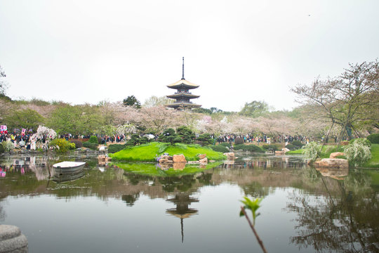 Chity Images – Browse 26 Stock Photos, Vectors, and Video | Adobe Stock