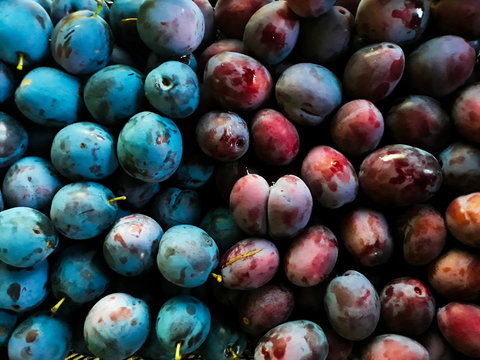 Pflaumensorten Bilder – Durchsuchen 476 Archivfotos, Vektorgrafiken und ...