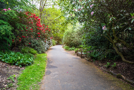 Aphalt Bilder – Durchsuchen 154 Archivfotos, Vektorgrafiken und Videos ...