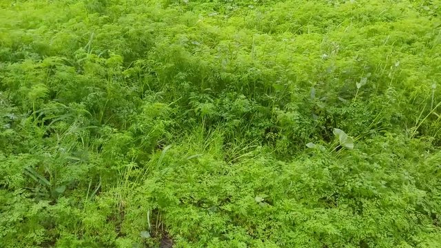 Balancear Images – Browse 146 Stock Photos, Vectors, and Video | Adobe ...