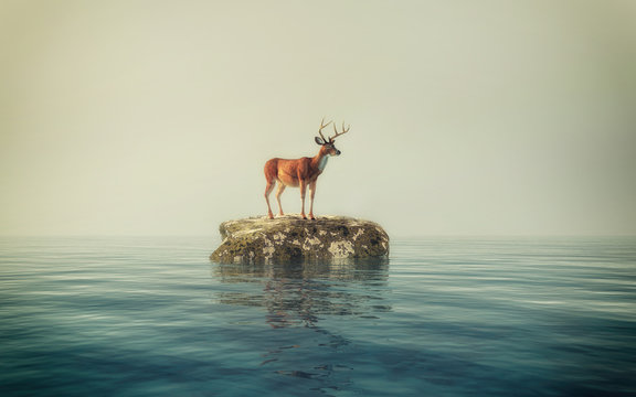 23,939 BESTE Fluchttier BILDER, STOCK-FOTOS & -VEKTORGRAFIKEN | Adobe Stock