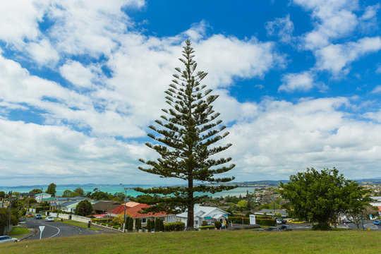 รูปภาพHowick – เลือกดูภาพถ่ายสต็อก เวกเตอร์ และวิดีโอ471 | Adobe Stock