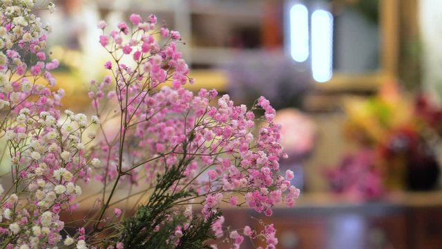 Gipsofila Images – Browse 175 Stock Photos, Vectors, and Video | Adobe ...