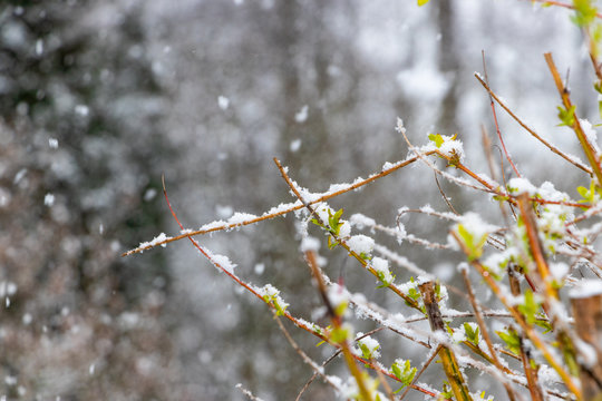 รูปภาพSchneeschauer – เลือกดูภาพถ่ายสต็อก เวกเตอร์ และวิดีโอ297 | Adobe ...