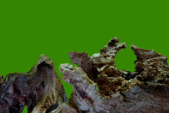 "Green Screen Background" Imagens – Procure 6,325 fotos, vetores e ...