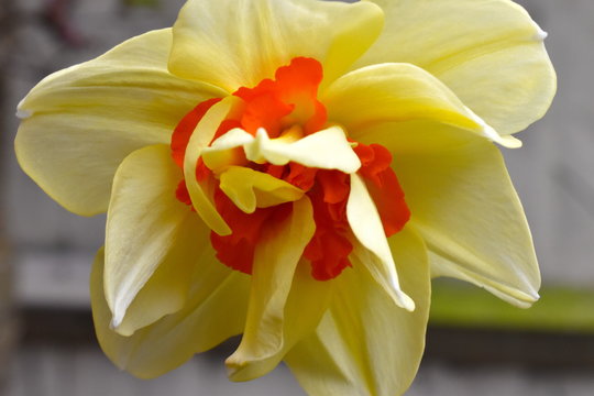 Unmatching Bilder – Durchsuchen 735 Archivfotos, Vektorgrafiken und ...