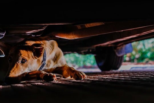 Stay-Safe Images – Browse 12 Stock Photos, Vectors, and Video | Adobe Stock