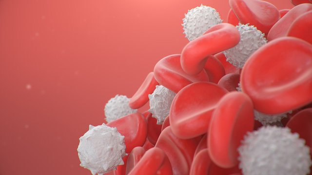 White Blood Cells Background