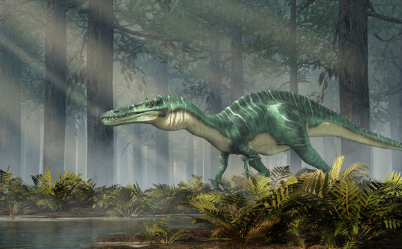 รูปภาพSuchomimus – เลือกดูภาพถ่ายสต็อก เวกเตอร์ และวิดีโอ205 | Adobe Stock