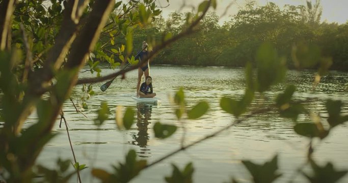 Paddle-Boarding Images – Browse 328 Stock Photos, Vectors, and Video ...