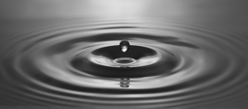 Riffling Images – Browse 919,485 Stock Photos, Vectors, and Video ...