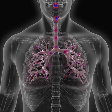 Windpipe Images – Browse 1,819 Stock Photos, Vectors, and Video | Adobe ...