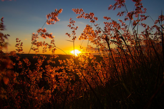 Por-Do-Sol Bilder – Durchsuchen 841 Archivfotos, Vektorgrafiken und ...