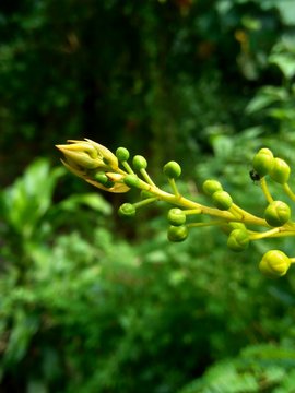 Pathimukham Images – Browse 24 Stock Photos, Vectors, and Video | Adobe ...