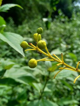 Pathimukham Images – Browse 24 Stock Photos, Vectors, and Video | Adobe ...