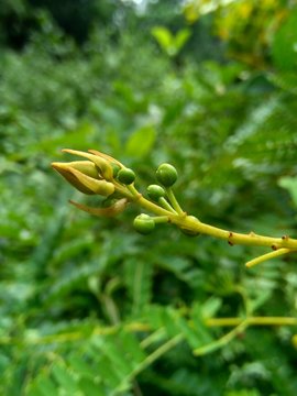 Pathimukham Images – Browse 24 Stock Photos, Vectors, and Video | Adobe ...