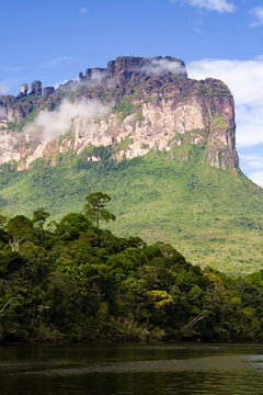รูปภาพAuyantepui – เลือกดูภาพถ่ายสต็อก เวกเตอร์ และวิดีโอ310 | Adobe Stock
