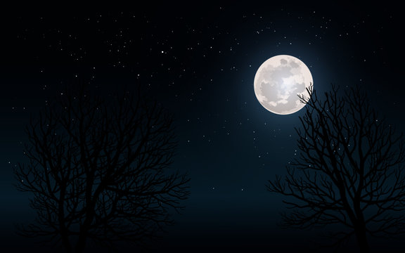 Free Moon Images – Browse 8,052 Free Stock Photos, Vectors, and Video ...