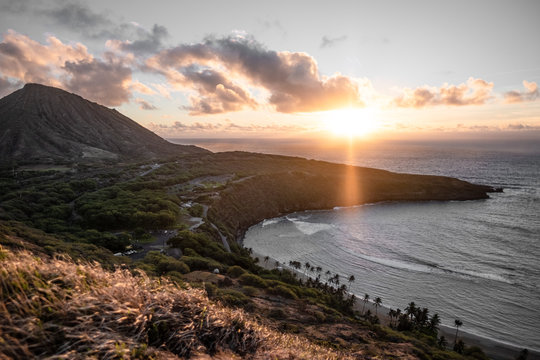 Hanama Bilder – Durchsuchen 36 Archivfotos, Vektorgrafiken und Videos ...