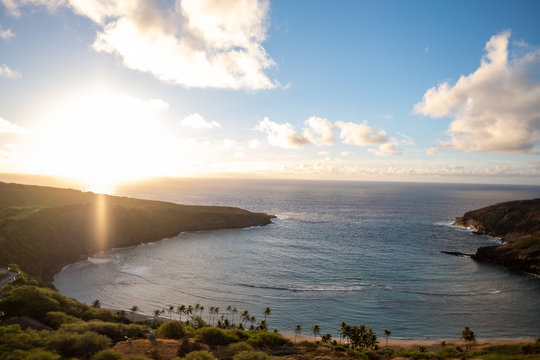 Hanama Bilder – Durchsuchen 37 Archivfotos, Vektorgrafiken und Videos ...