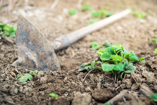 Rotzen-Bilder: Stock-Fotos & -Videos. | Adobe Stock