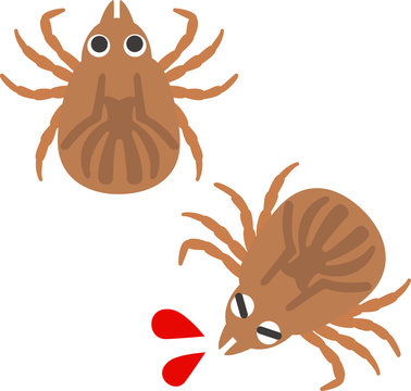 Acarian Изображения: просматривайте стоковые фотографии, векторные ...