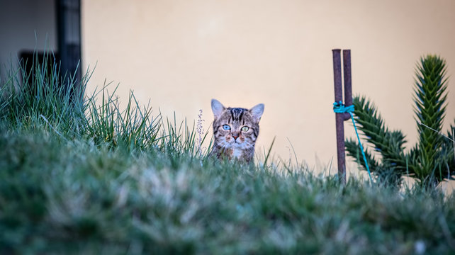 Ansteigend bilder – Bläddra bland 764 stockfoton, vektorer och videor ...