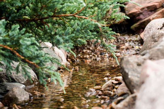 รูปภาพStrumyk – เลือกดูภาพถ่ายสต็อก เวกเตอร์ และวิดีโอ1,746 | Adobe Stock