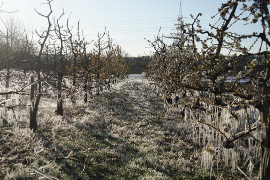 Himel Images – Parcourir 379 le catalogue de photos, vecteurs et vidéos ...