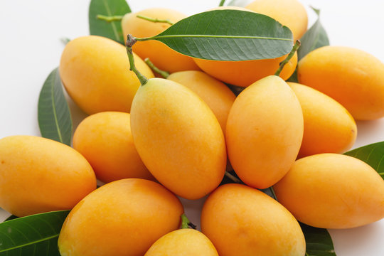 Mayongchid Images – Browse 2,020 Stock Photos, Vectors, and Video ...