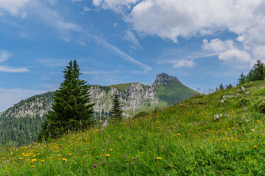 「Simme」の画像 - 379 件の Stock 写真、ベクターおよびビデオ | Adobe Stock