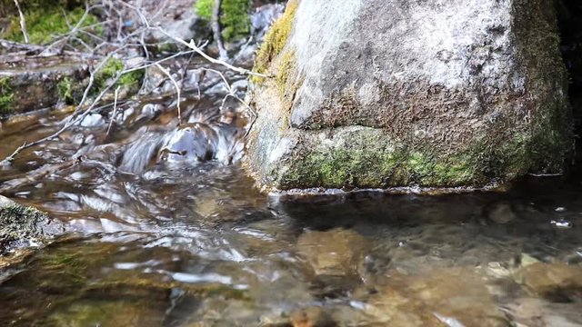 รูปภาพRill – เลือกดูภาพถ่ายสต็อก เวกเตอร์ และวิดีโอ1,418,679 | Adobe Stock