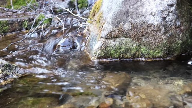 รูปภาพRill – เลือกดูภาพถ่ายสต็อก เวกเตอร์ และวิดีโอ1,418,679 | Adobe Stock