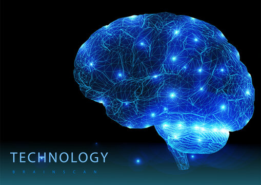 Free Brain Images – Browse 6,288 Free Stock Photos, Vectors, and Video ...