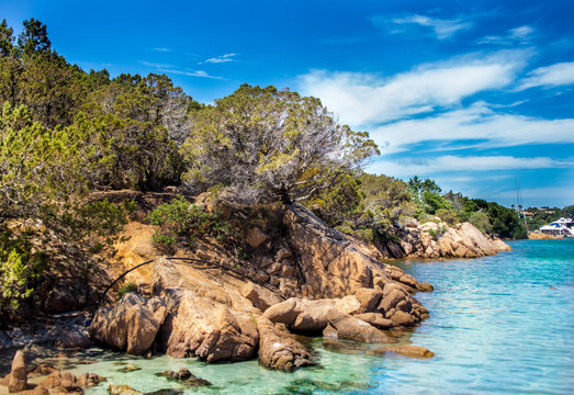 Stefano Meroni photos, images, assets | Adobe Stock