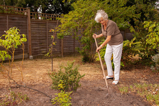 รูปภาพHoeing – เลือกดูภาพถ่ายสต็อก เวกเตอร์ และวิดีโอ47,580 | Adobe Stock